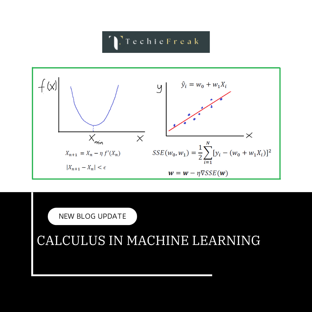 Optimization Techniques in Machine Learning