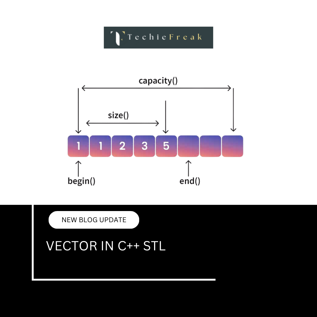 Vector in C++ STL: Internal Working, Memory, and Examples